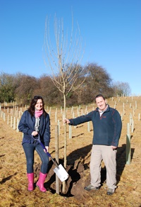 Council plants thousands of trees thanks to Government grant - Rugby ...