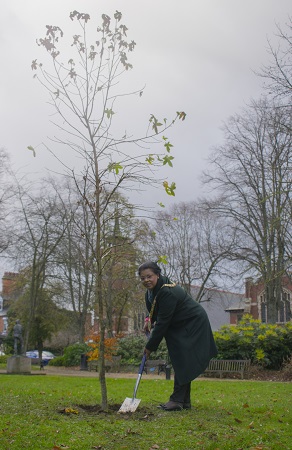Mayor of Rugby backs borough's National Tree Week celebrations - Rugby ...